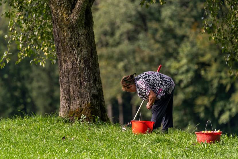 Was Wird Durch Hecheln Weiterverarbeitet