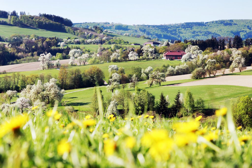The Mostviertel Region in Austria - Das Schloss an der Eisenstrasse